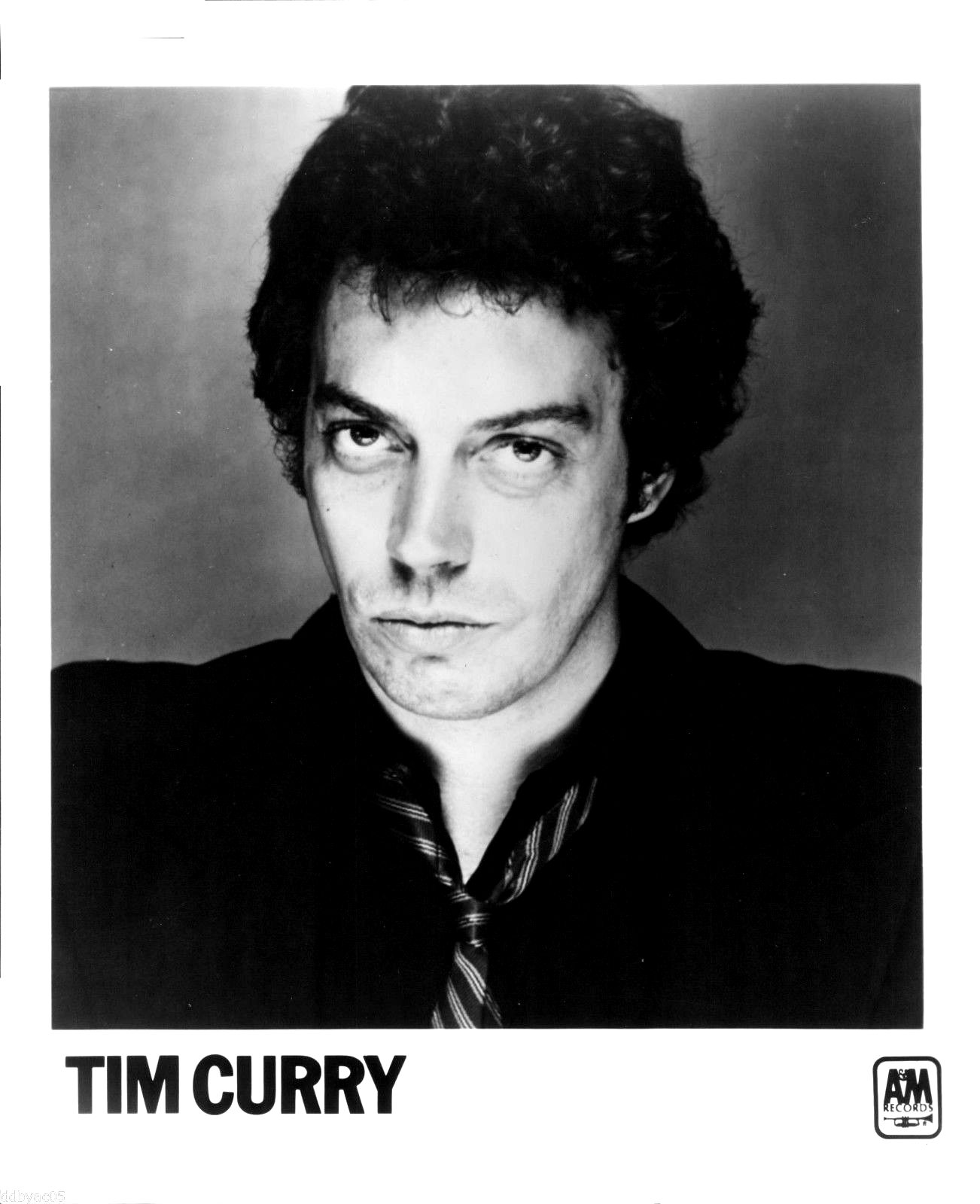 Tim Curry | On A&M Records
